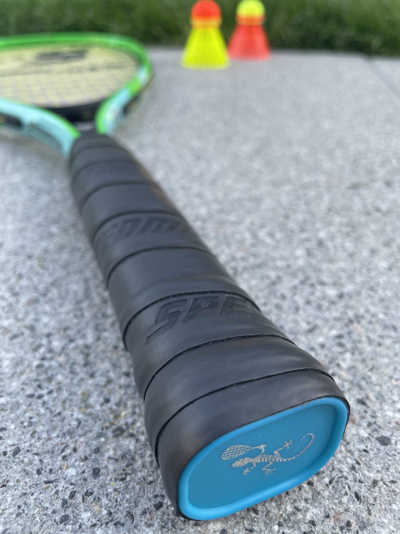 Speedminton Start - Mit Schnelligkeit Fit Werden